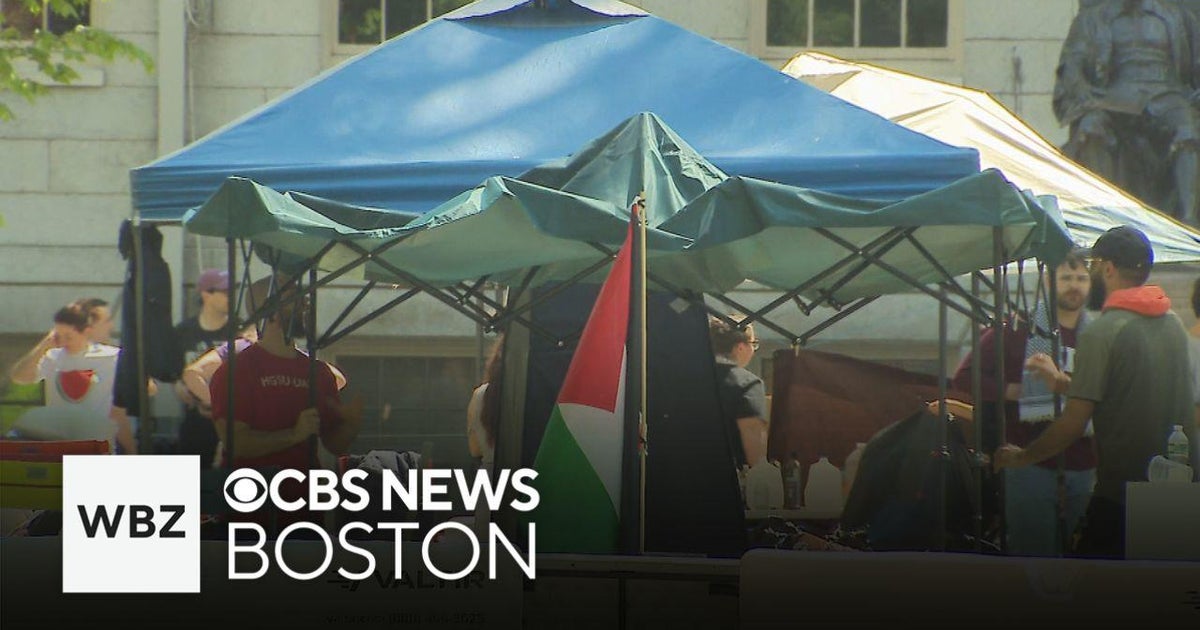 Protesters clear out encampment at Harvard University - CBS Boston
