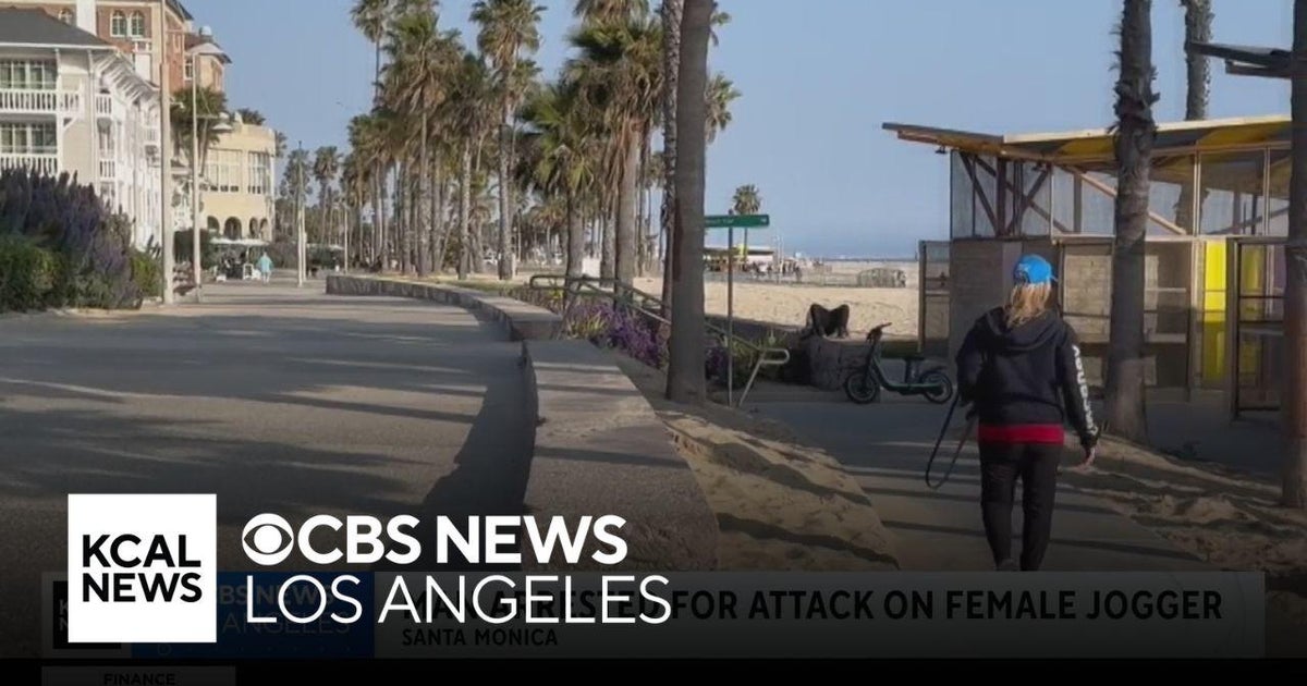 Homeless man drags woman by ponytail on Santa Monica beach path ...