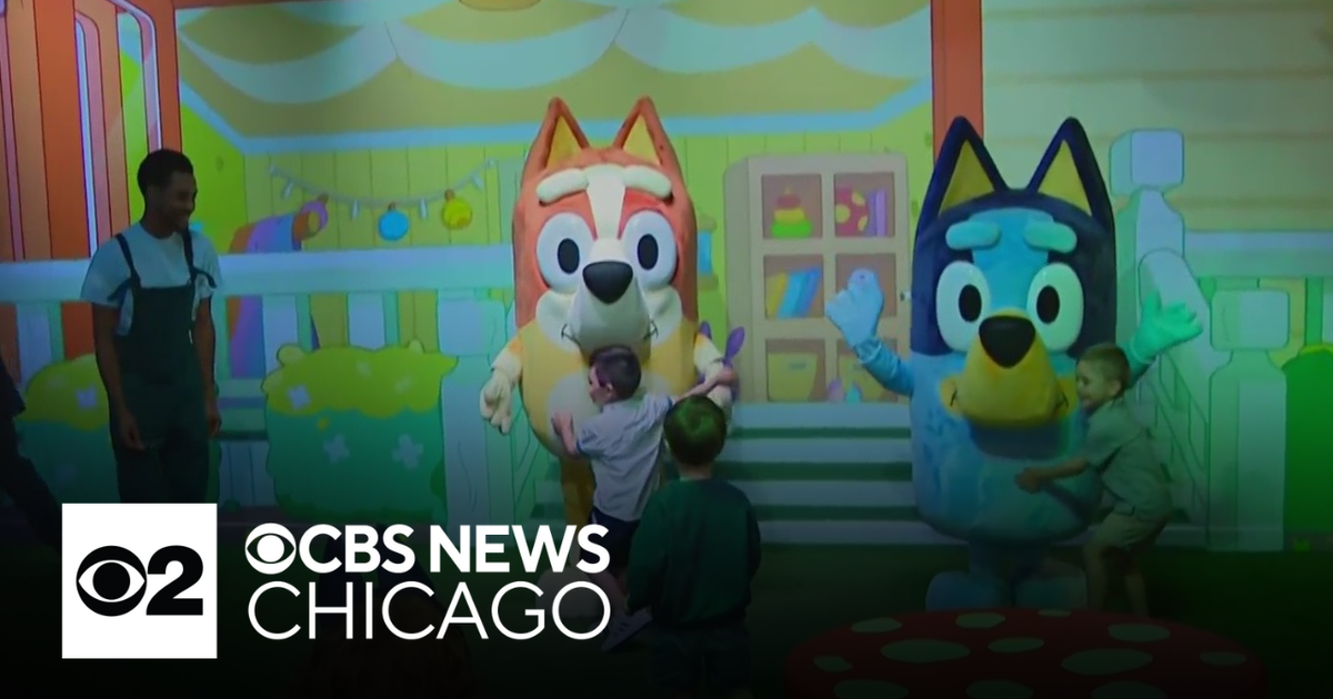 Inside the Bluey immersive experience in Lincoln Park - CBS Chicago
