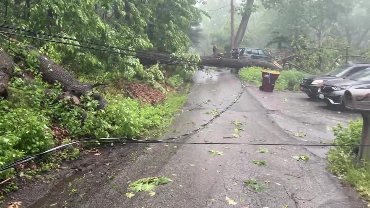 Storm causes damage across NYC and nearby suburbs, bringing down trees ...