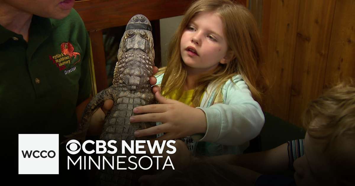 RAD zoo educates the public on a wide variety of rare reptiles and ...