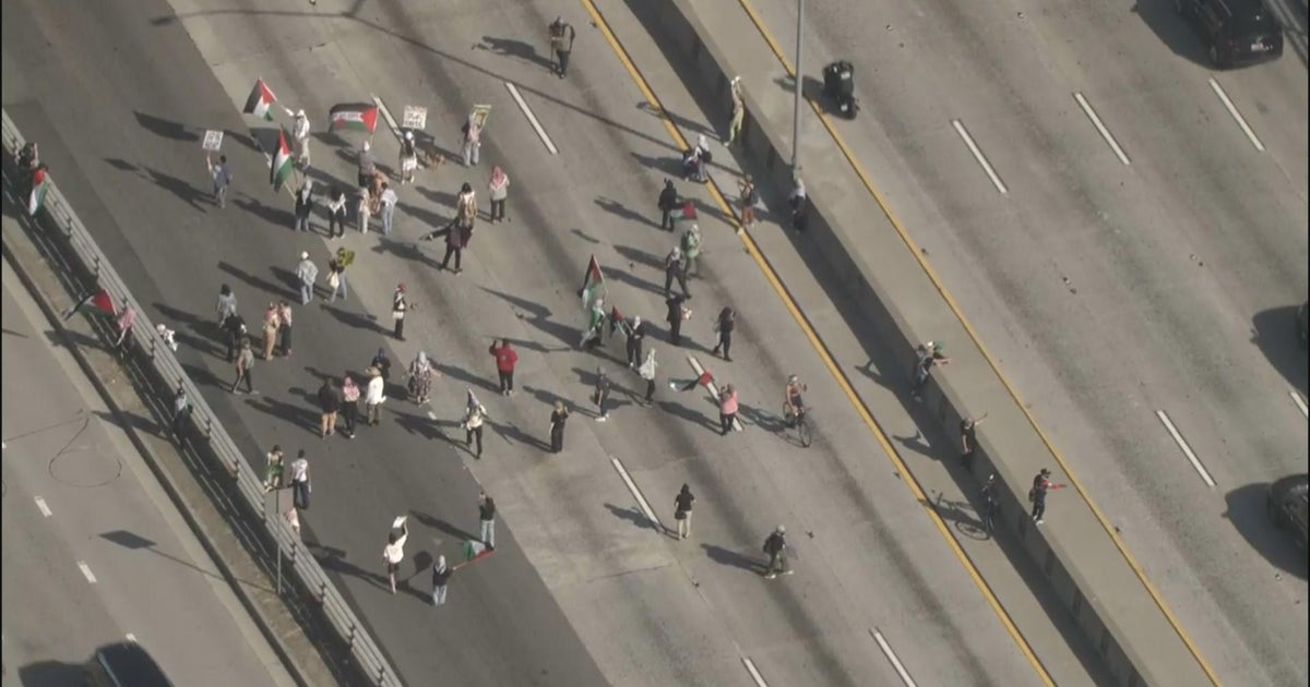 Pro-Palestinian protesters march onto 101 Freeway in Downtown Los ...