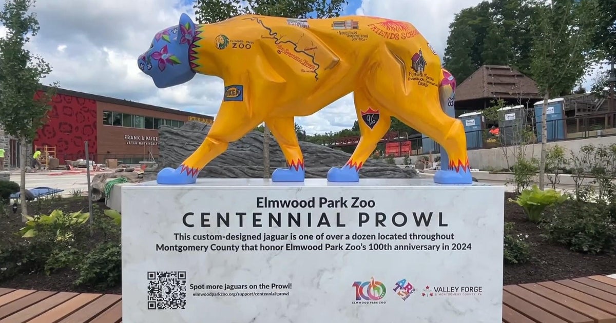 Colorful jaguar statues unveiled at Elmwood Park Zoo to be installed ...