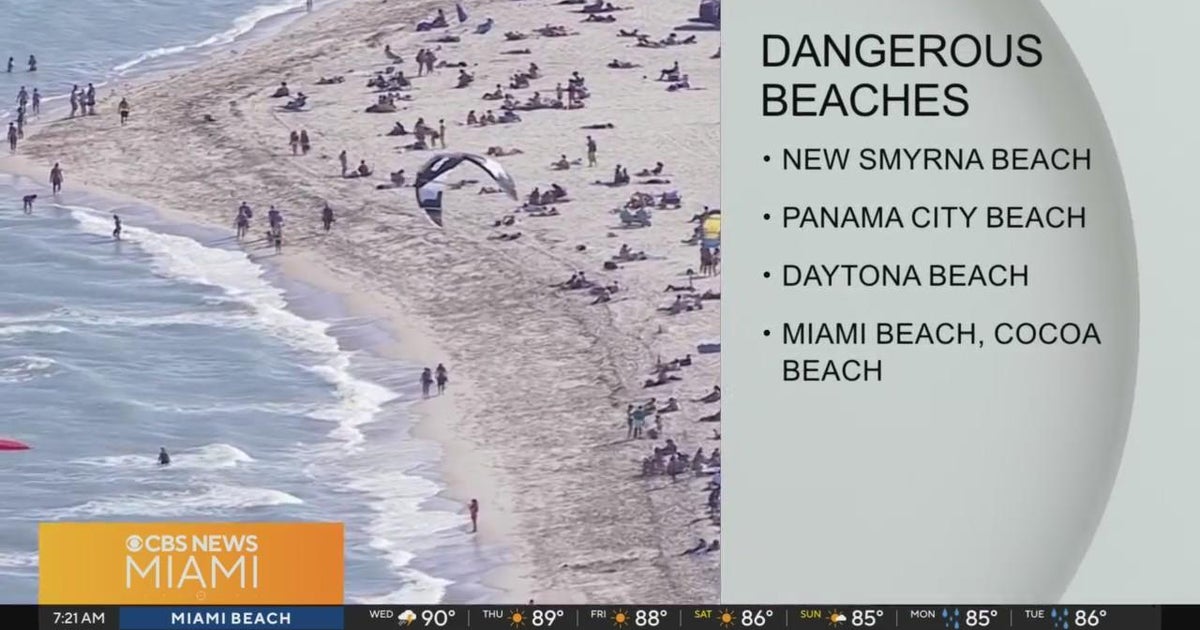 Sharks and hurricanes: Florida has some of America's most dangerous ...