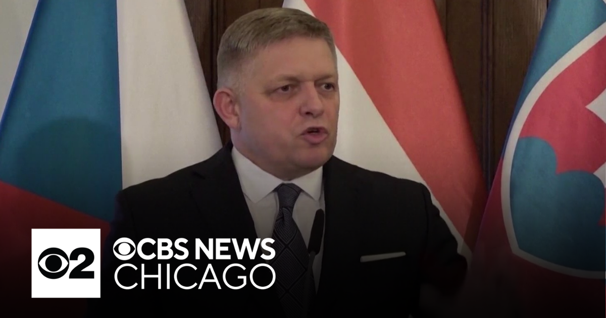Slovakia Prime Minister Robert Fico released from hospital after ...