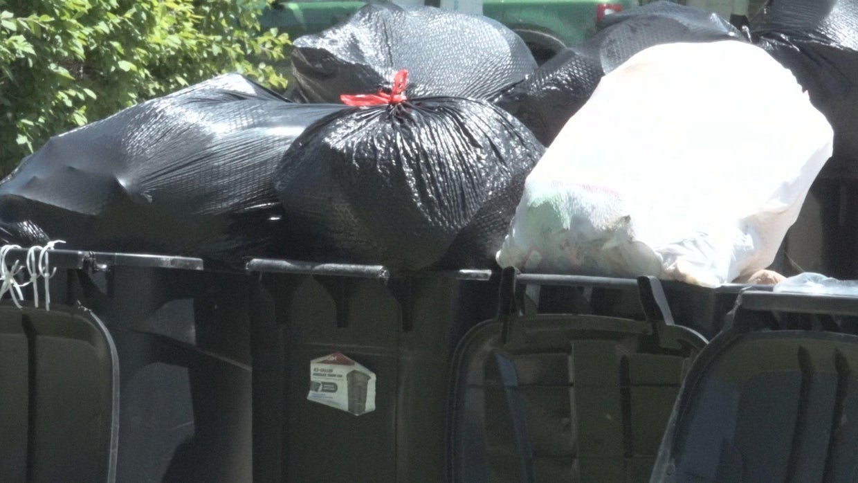 Southeast Michigan cities hit by major residential trash pick-up change ...