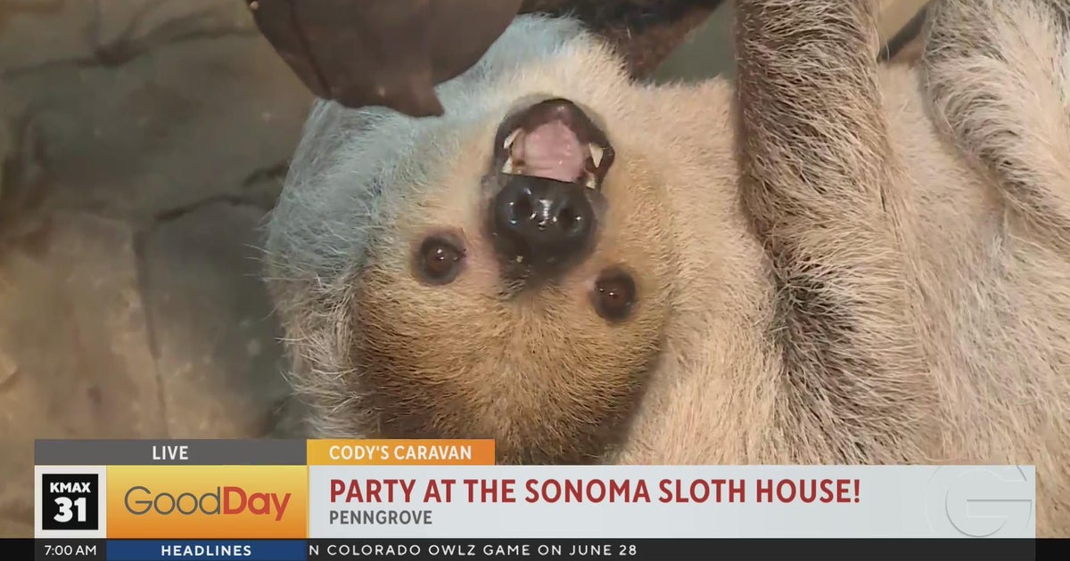 Cody's Caravan: Sonoma Sloth House - Good Day Sacramento