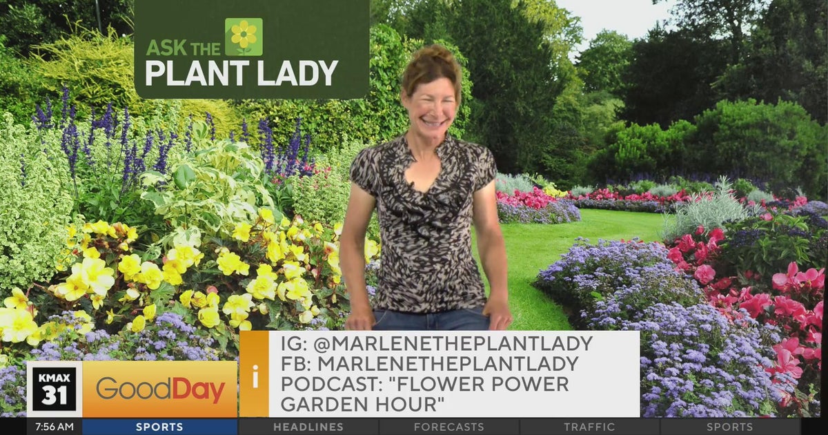The Plant Lady, 7am - 6/2 - Good Day Sacramento