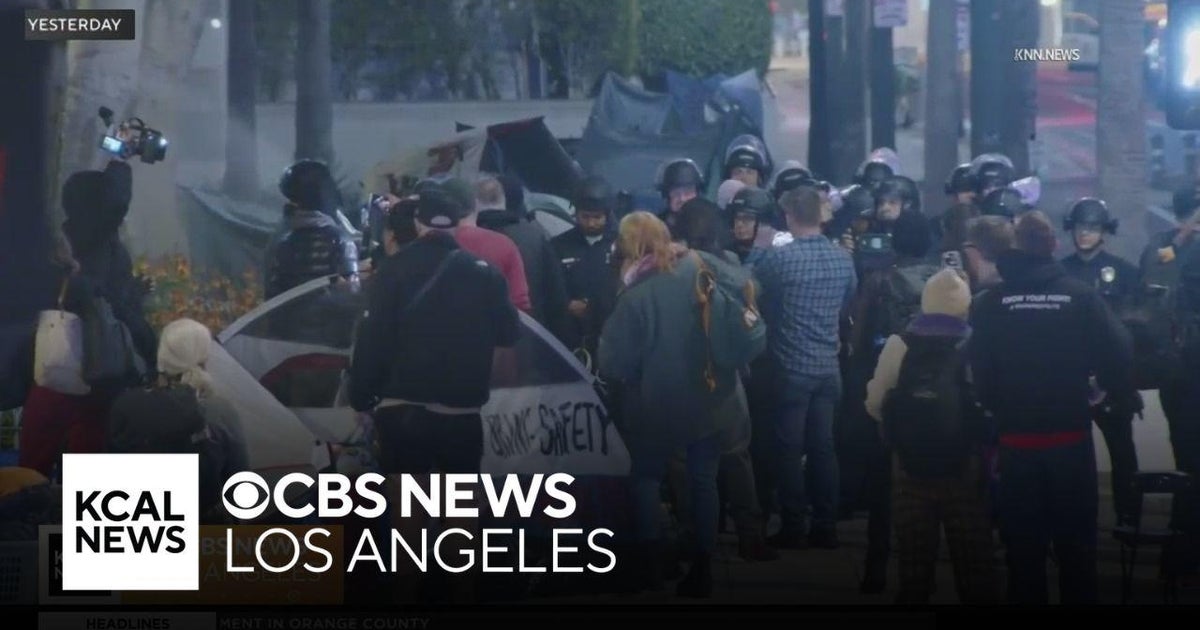 LAPD cancels tactical alert after pro-Palestinian protests outside LA ...