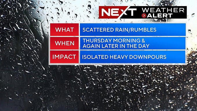 Heavy rain threat in forecast could wash away the pollen coating ...