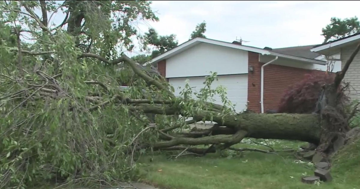 Tracking tornado damage in Livonia - CBS Detroit
