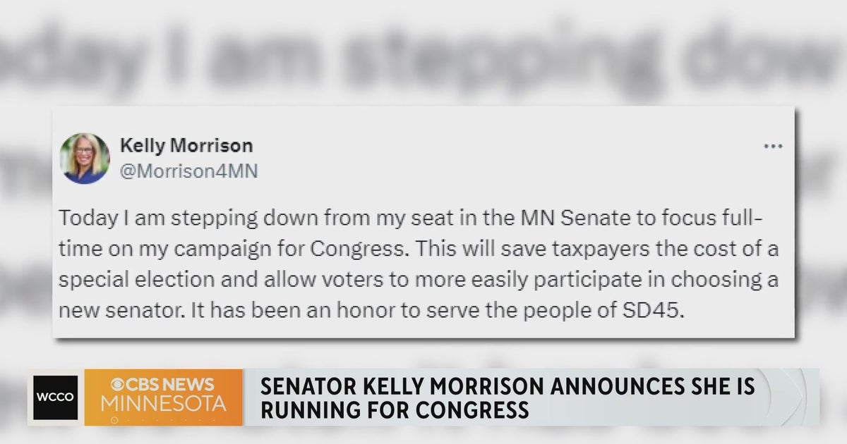 Minnesota State Sen. Kelly Morrison resigns ahead of congressional run ...