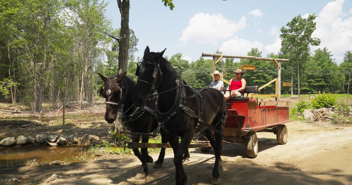 Escape the city for horseback riding at Cornerstone Ranch in Princeton ...
