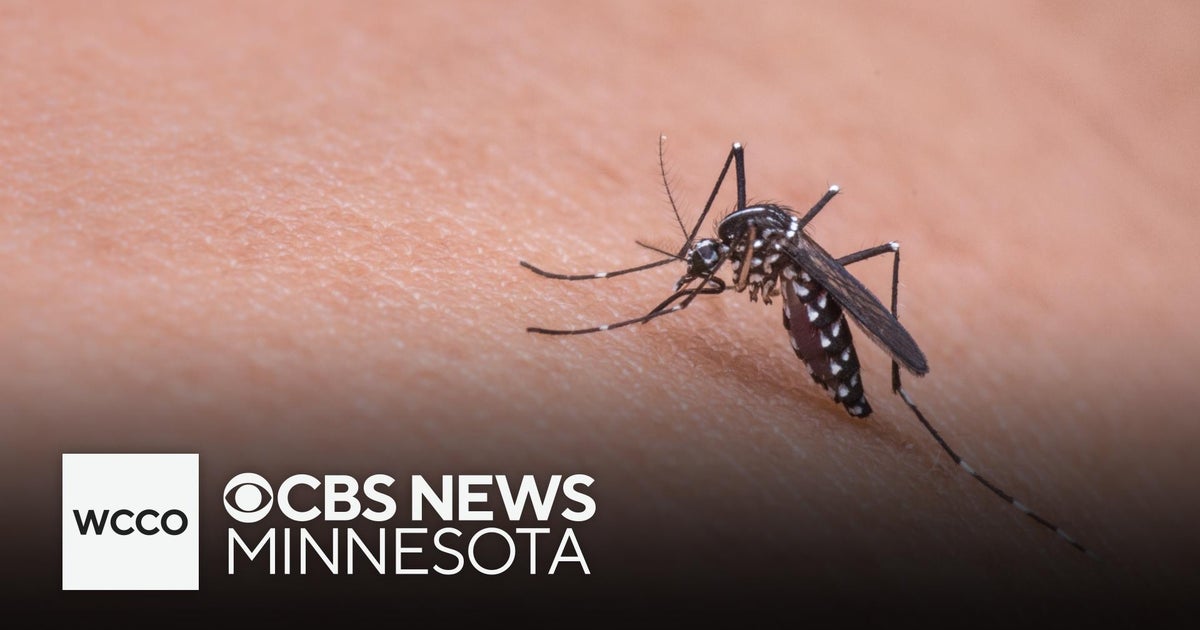 Mosquito season in full swing in Twin Cities — here’s where it’s worst ...