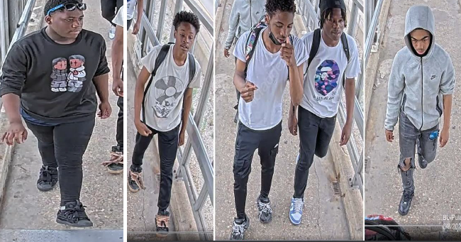 5 people wanted in attempted robbery, beating of man on Chicago Blue ...