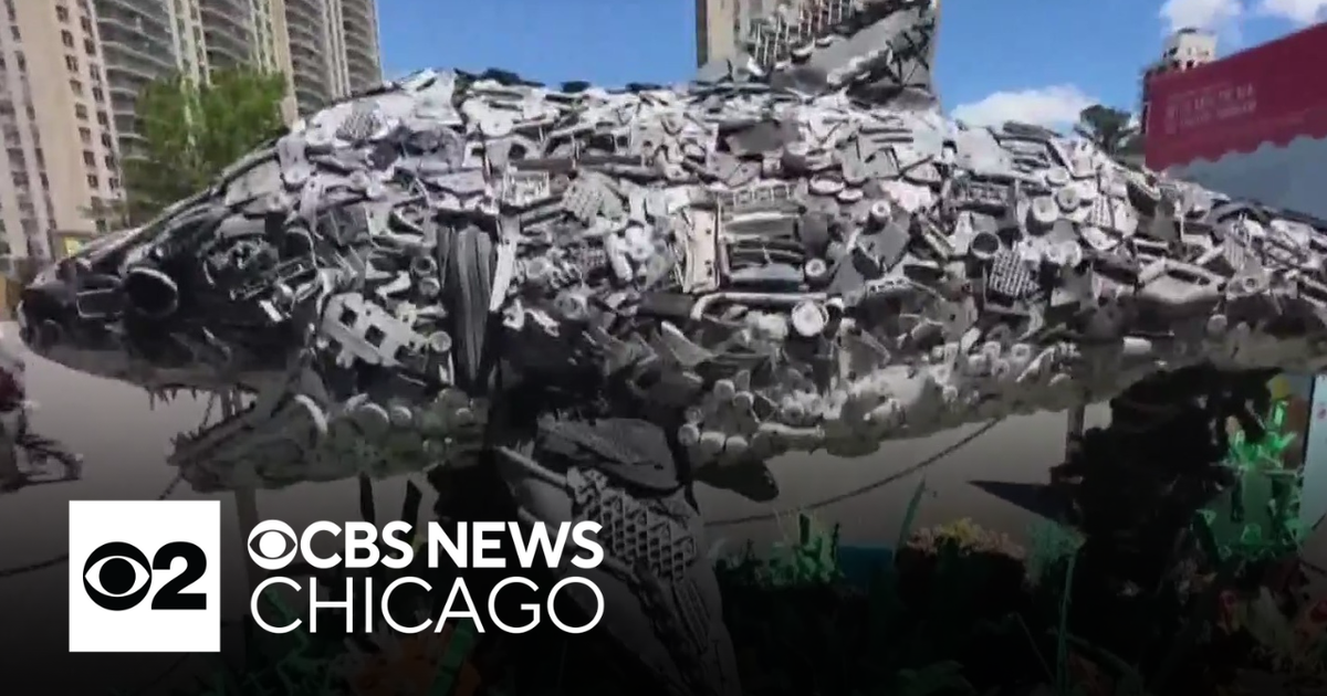 New York aquarium’s new exhibit feature sculptures made from beach ...