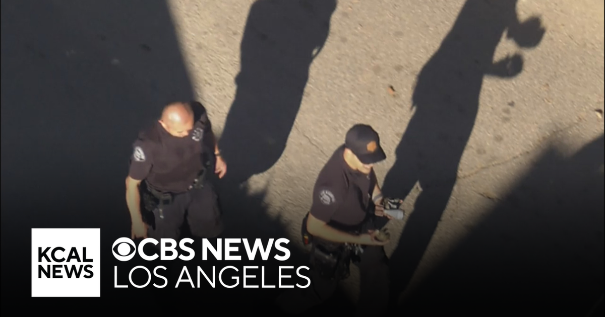 LAPD seize apparent grenades residents found while cleaning out garage ...