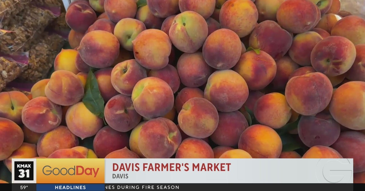 Davis Farmer's Market with Your Produce Man, 8am - Good Day Sacramento