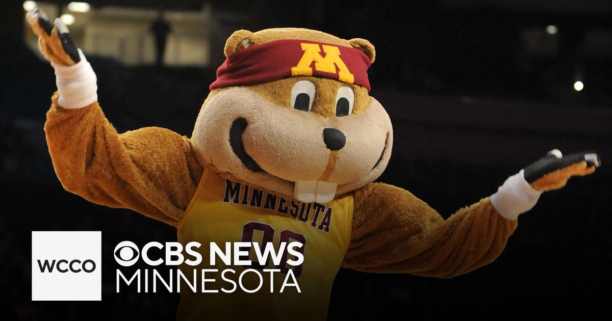 Which Minnesota mascot reigns supreme? - CBS Minnesota