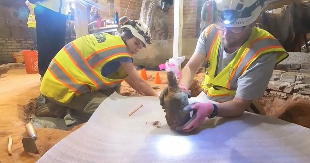 Perfectly preserved 250-year-old cherries, berries found at George ...