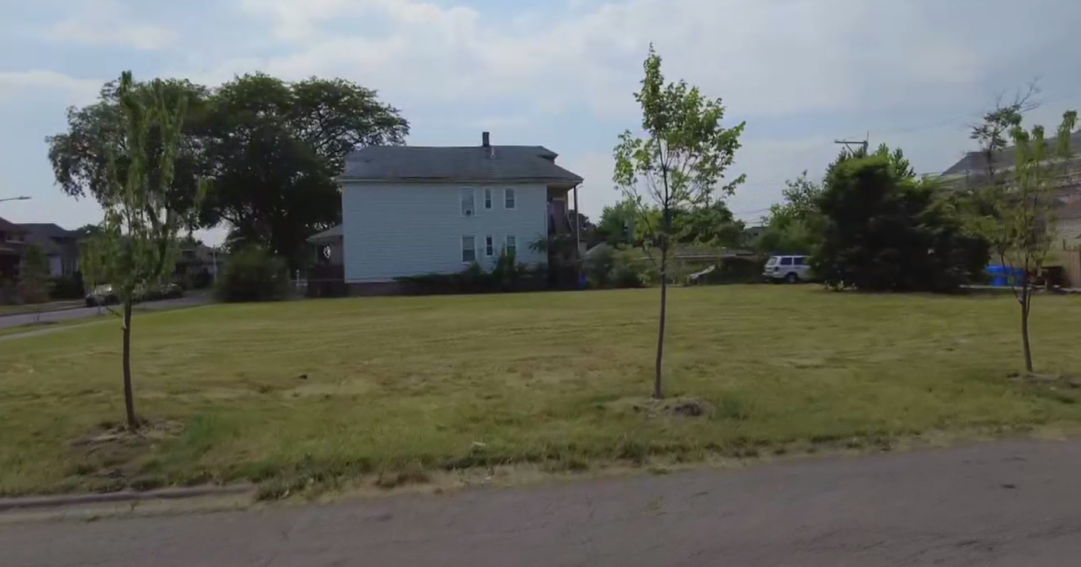 Our Roots Chicago is planting thousands of trees in city's communities ...