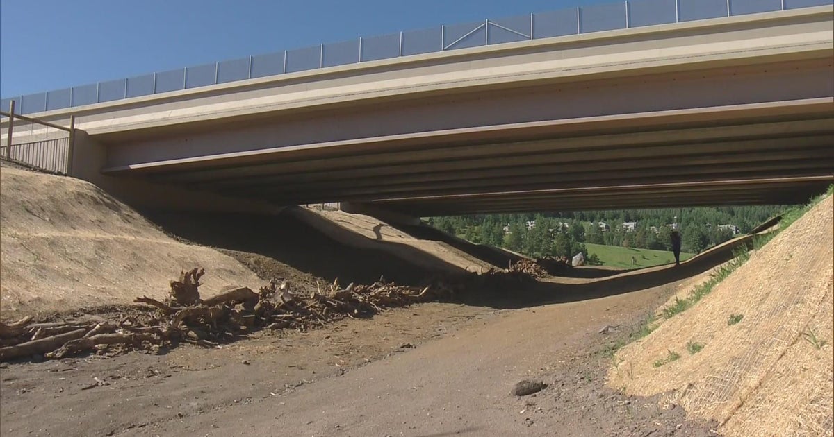 New wildlife underpass at I-70 & Genesee built for animal, drivers ...