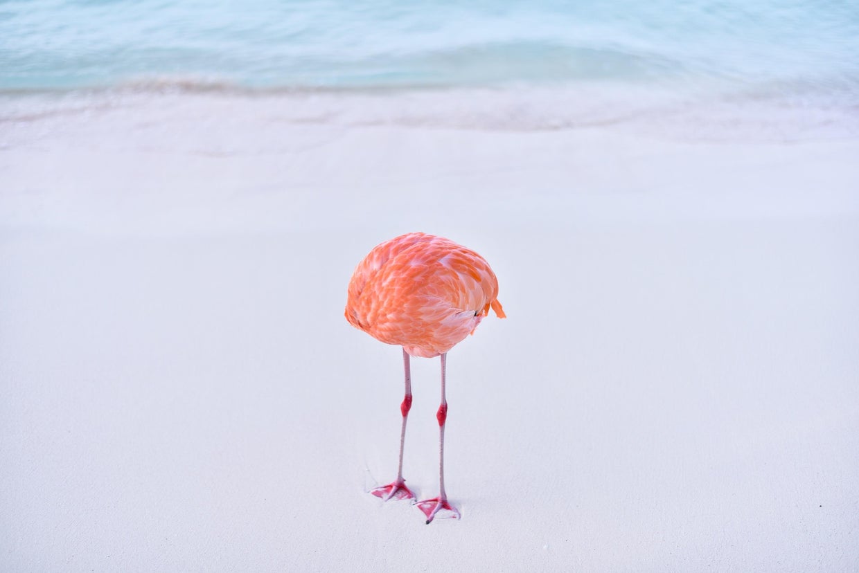 A real photo took two honors in an AI competition. Here's the inside ...