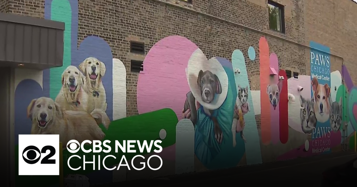 PAWS staffers head to Iowa to bring over a dozen sheltered cats back to ...