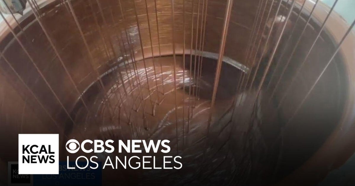 Meet an artisanal chocolatier - CBS Los Angeles