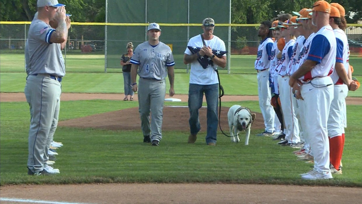 Fort Collins Foxes and U.S. Military Wardogs play baseball to give a ...