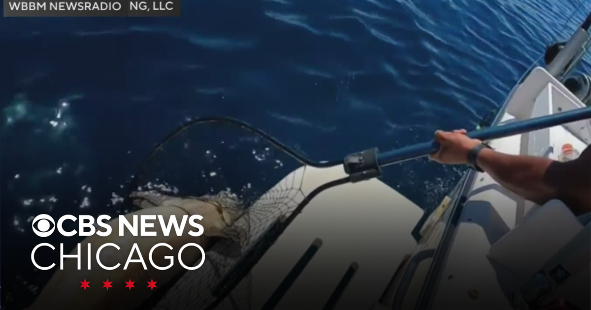 Retired police officer thinks he sees body in water, but it's a fish ...