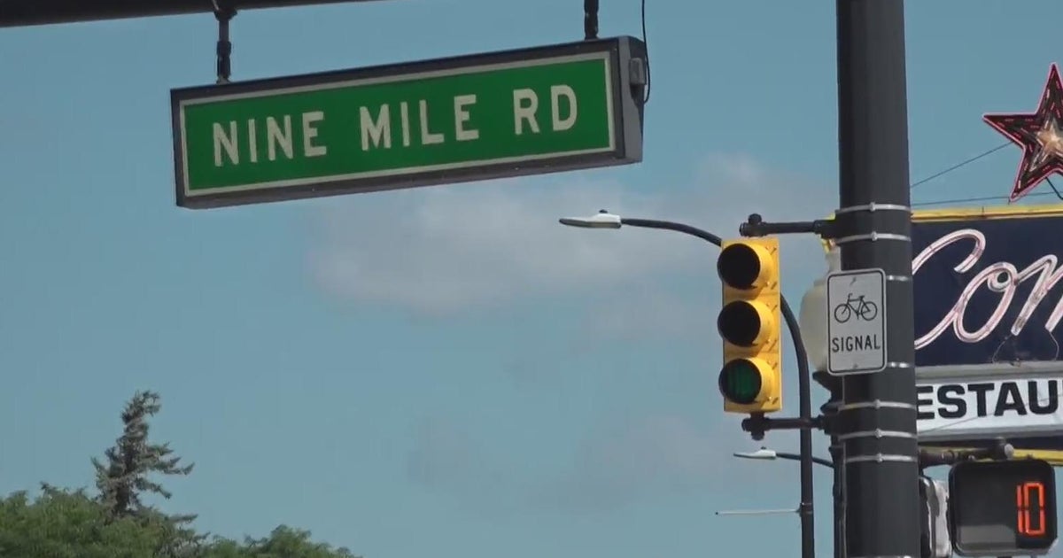 New traffic lights for cyclists in Ferndale - CBS Detroit
