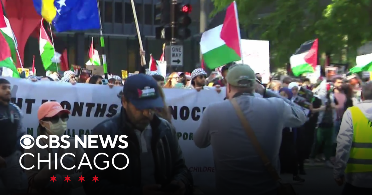 Demonstrators battle with Chicago over Democratic National Convention ...