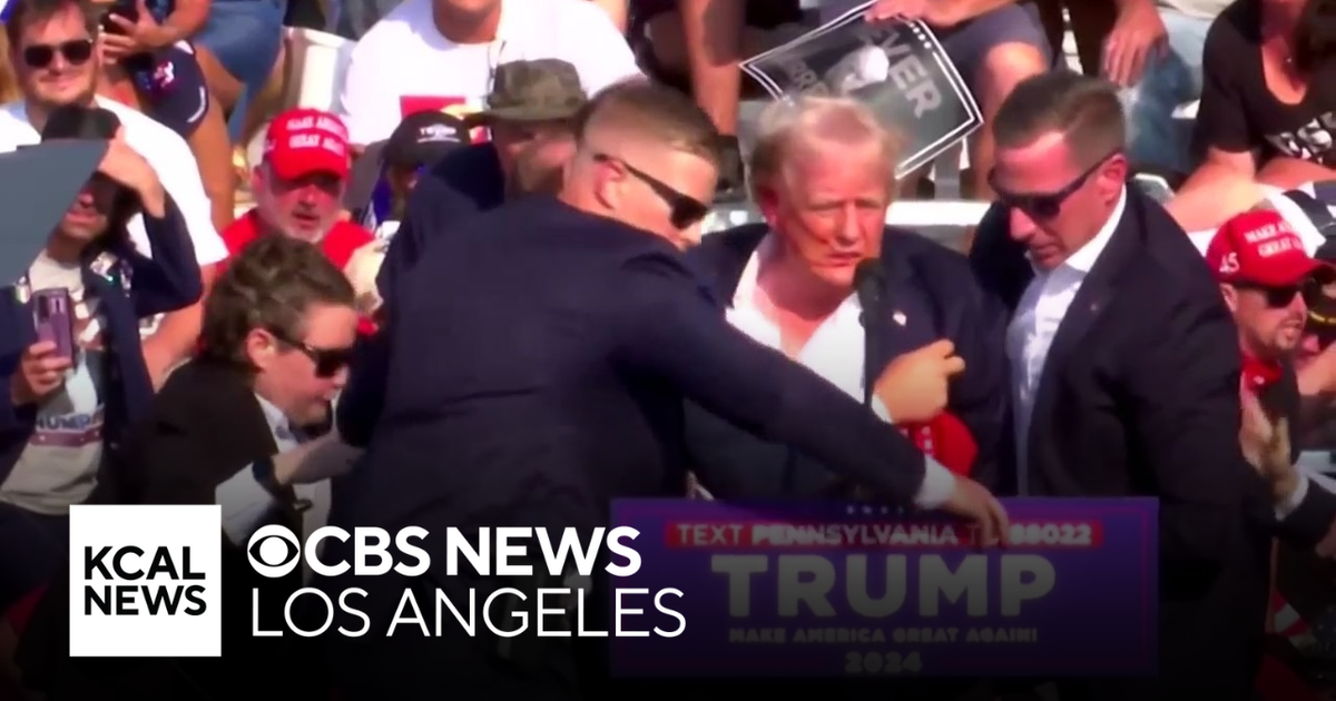 Looking at former President Donald Trump's injuries after shooting at ...