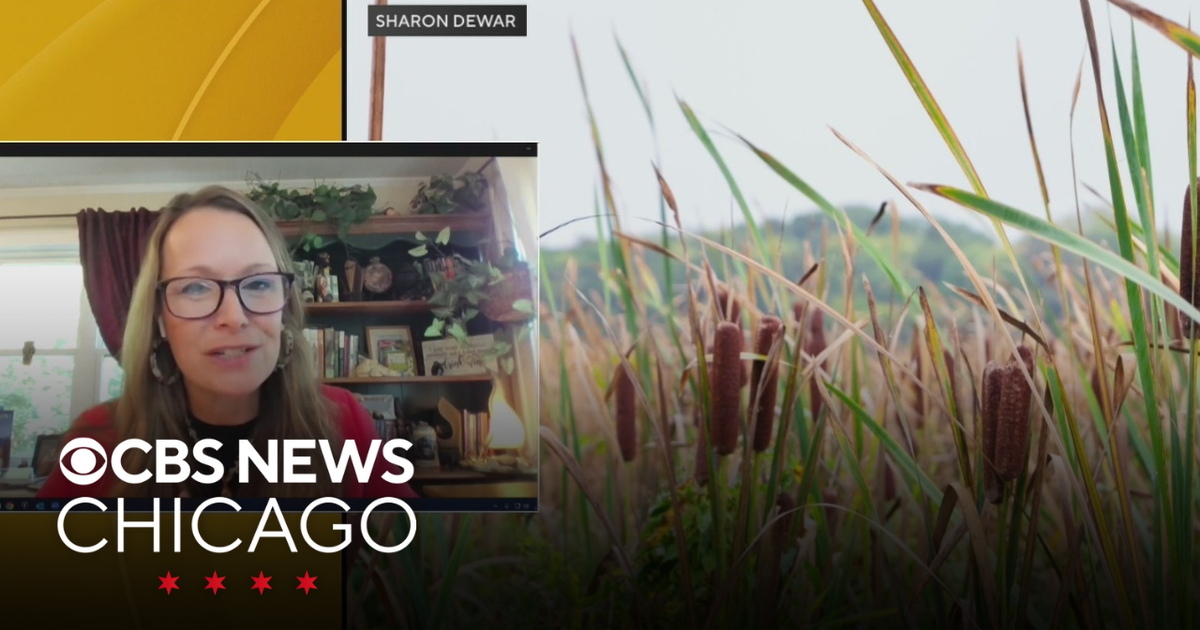 Hike options for kids - CBS Chicago