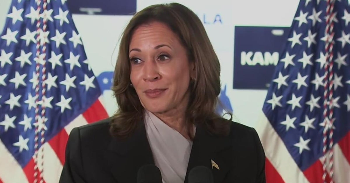 VP Kamala Harris secures enough delegate endorsements to win Democratic ...