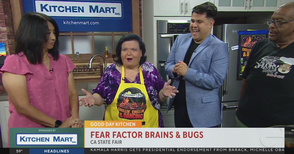 Fear Factor Brains & Bugs - Good Day Sacramento