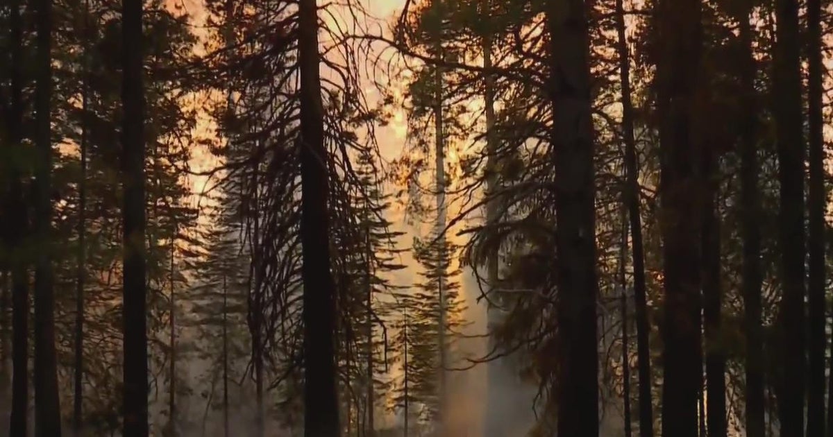 North Texas fire crews head to West Coast to assist with wildfires ...