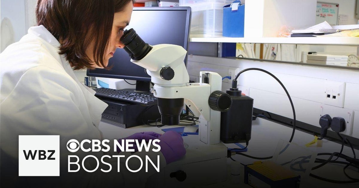 Study on mice shows anti-nausea drug may help stop the spread of breast ...