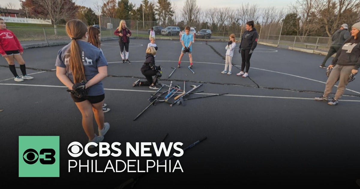 New Hanover Community Park hockey rink to reopen after renovations ...