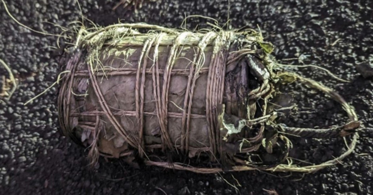 Improvised explosive devices recovered in Maui by FBI - CBS News