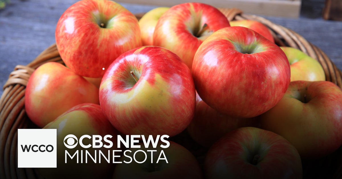 Most Minnesotans say they prefer Honeycrisp apples - CBS Minnesota