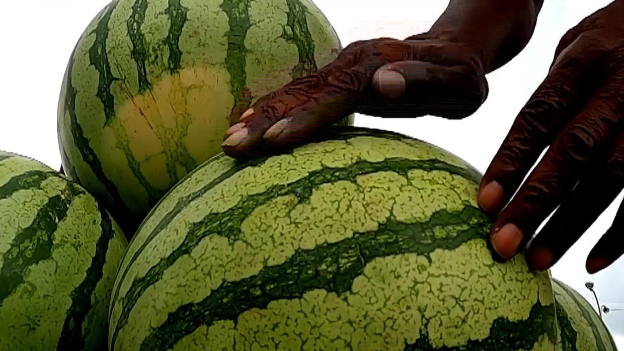 Watermelon experts for four generations: How Philadelphia's Carter ...