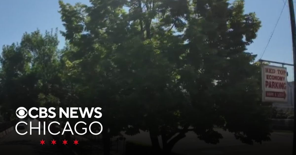 Neighbors concerned over DNC protest route - CBS Chicago