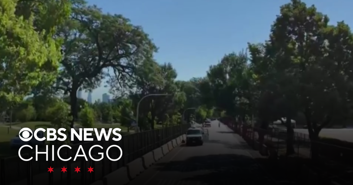 Some neighbors not pleased with DNC protest route - CBS Chicago