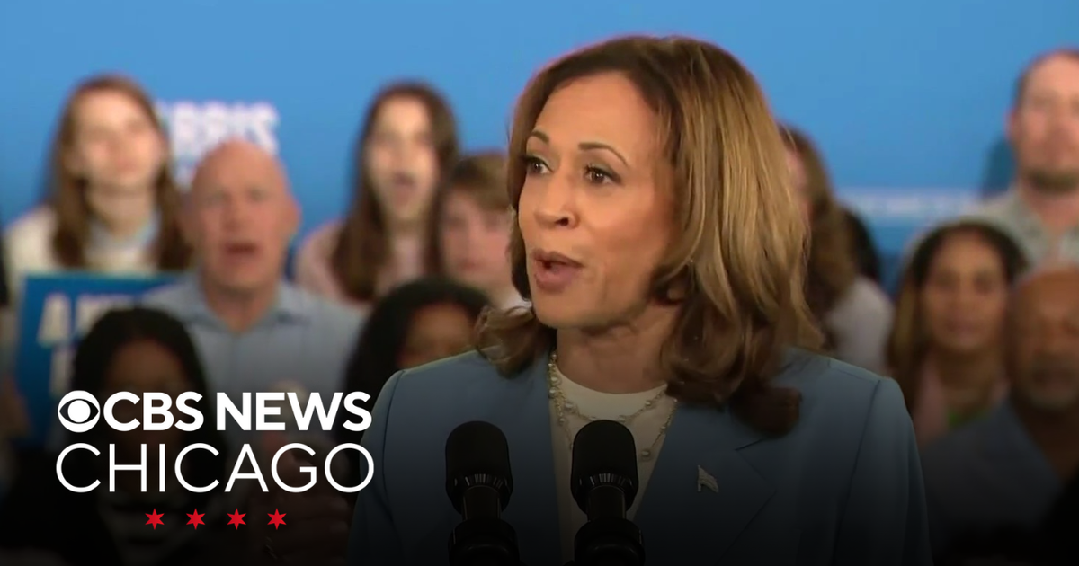 Breakdown of Harris’ economic plan - CBS Chicago