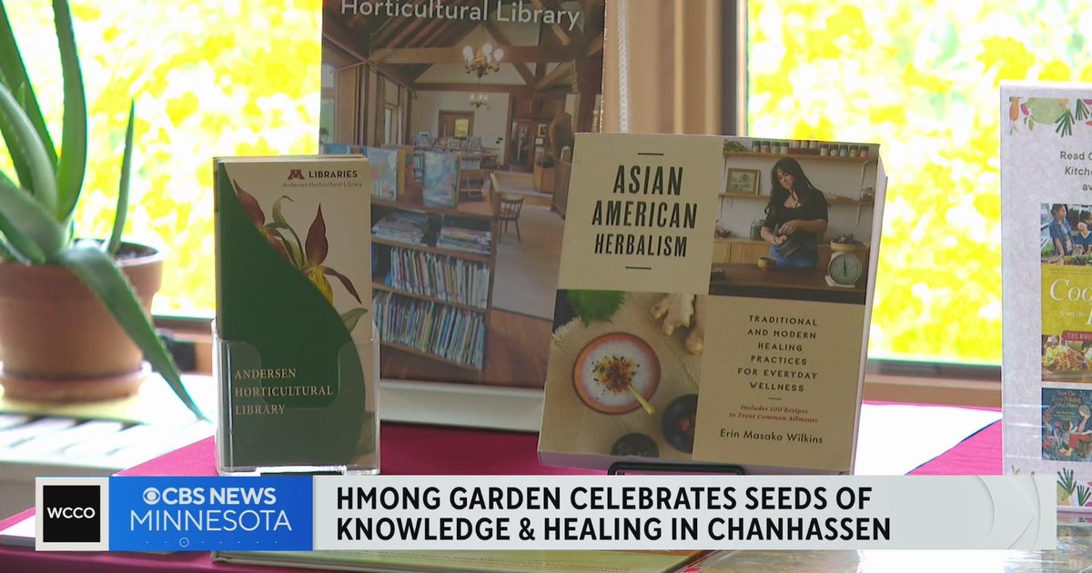 New exhibit teaches Hmong medicine and culture - CBS Minnesota