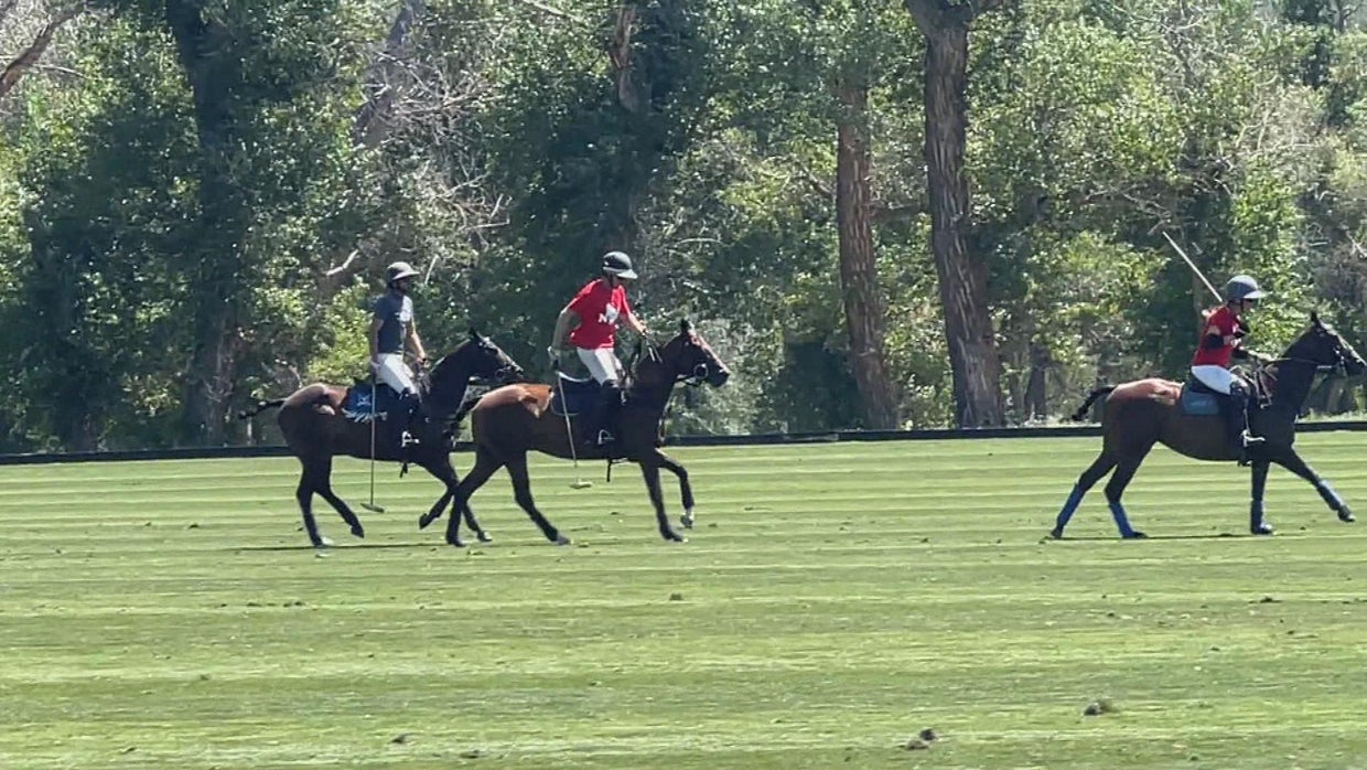 Denver Polo Club wants to make "old-world sport" accessible to ...