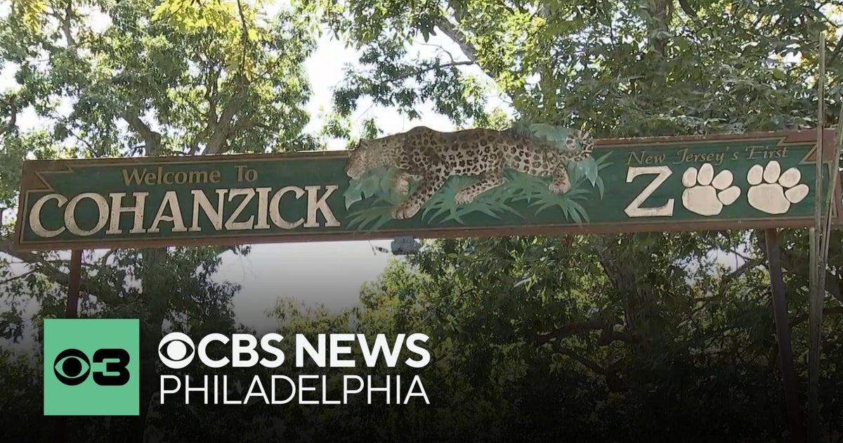 Video captures woman narrowly escaping tiger bite at South Jersey zoo ...