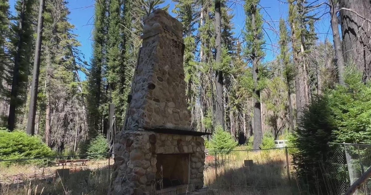 Plans to rebuild Big Basin State Park to focus on nature - CBS San ...